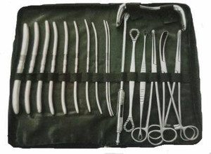 ARINEO Gynecology DNC Set Special Gynecological Aspiration Kit Price in ...