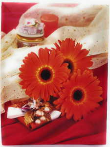 CSN - CUTE SHOPPING NETWORK Photo Album with Extra Clear PVC Film Album ...