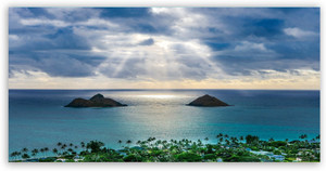 Amanda Phung Wallpaper Unframed Large Painting On Vinyl Sticker Paper ...