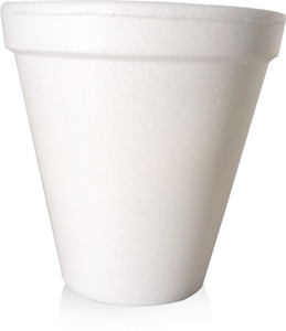 Raghuvir Disposable Paper Disposable Thermocol cup (100 ml) One time ...