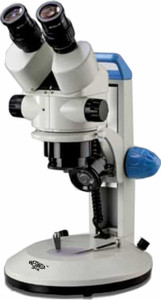 glab INDIA Stereozoom Binocular Microscope 3.5x-40x Objective ...