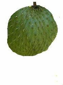 myhobbygarden Soursop, laxman/hanuman phal Seed Price in India - Buy ...