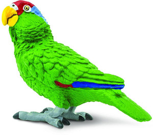Safari Ltd Green Cheeked Parrot [Cat_7399] - Green Cheeked Parrot [Cat ...