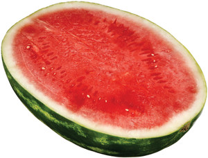 Paudha Watermelon Seed Price in India - Buy Paudha Watermelon Seed ...