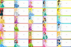 Visual Creation 30.48 cm Note book sticker for Kids - Princess Series ...