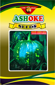 Lion Brand Pumpkin F1 Hybrid 80 Seed - Fotkari Kumro/Kaddoo Seed Price ...