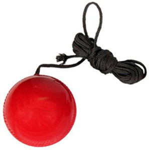 GRAVITY hanging ball Cricket Training Ball - Buy GRAVITY hanging ball ...