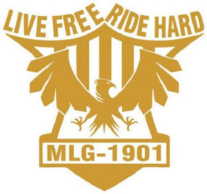 VD BULLET STUDIO Sticker & Decal for Bike Price in India - Buy VD ...