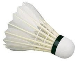 Gaurik Enterprises BADMINTON SHUTTLE COCK IN PACK OF 6 Feather Shuttle ...