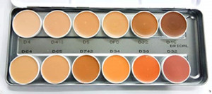 KRYOLAN DERMA COLOR 12 in 1 Camouflage Cream Foundation Palette (Bridal ...