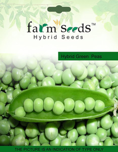 ENINE Peas Seed Price in India - Buy ENINE Peas Seed online at Flipkart.com