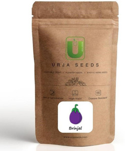 URJA SEEDS Brinjal Pusa Purple Long (PPL) Seed Price in India - Buy ...