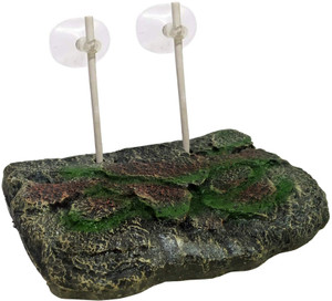 Flipkart SmartBuy Bamboo Shape Floating Turtle Island Basking Hanging ...