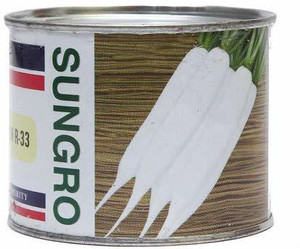 Sungro Radish, Muli Seed Price in India - Buy Sungro Radish, Muli Seed ...