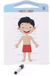 Harvic Handcrafted Human Body Parts Peg Puzzle Picture Learning Board ...