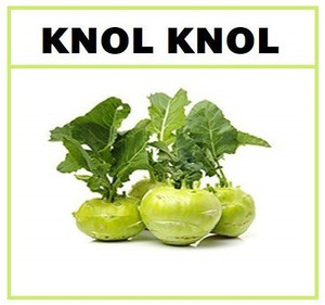 Qualtivate ® Organic Knol Khol Seeds-50 Seed Seed Price in India - Buy ...