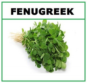 VibeX ® VXI-187 Chandrika Seeds - Methi Fenu Greek Seeds Of Herb Seed ...