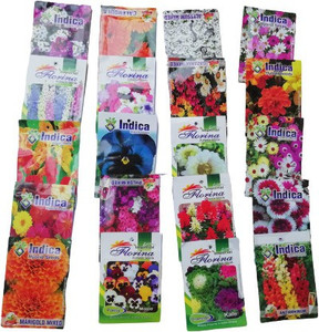 Florina flowers combo seeds Seed Price in India - Buy Florina flowers ...