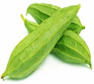 EZtect Seeds Sponge Gourd, Peechinga, Goshali, Ghiya Tori Seeds ...