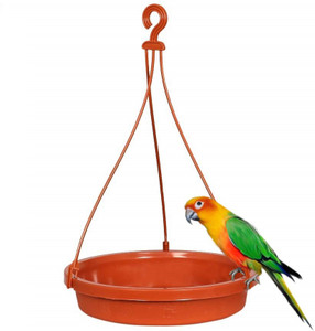 Organik Hanging Water Pot for Birds For Home and Garden Window Bird ...