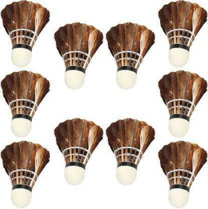 AT COLLECTION Badminton Shuttle Cock Feather Shuttle Feather Shuttle ...