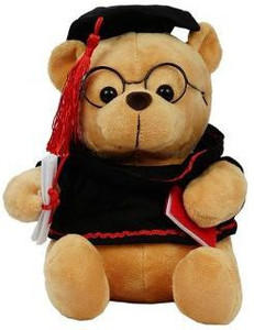 Gadget Mart Cotton Stuffed Soft Toys Cute Student Graduate Teddy Bear ...