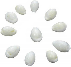 Somadev Safed Kaudi / White Stoneware Yantra Kaudi (Pack of 11 ...