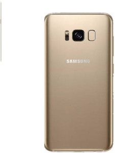 PanelZone Samsung Galaxy S8 Back Panel: Buy PanelZone Samsung Galaxy S8 ...