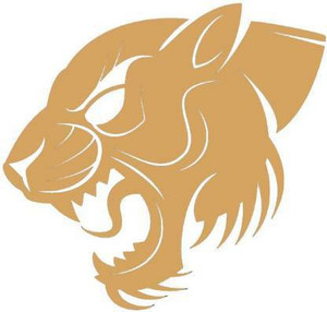 KICKWIX Sticker & Decal for Car & Bike Price in India - Buy KICKWIX ...