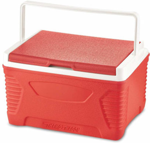 Jain Art Villa 5 L Plastic Jain Art Ice Chiller Box 5ltr Ice Bucket ...