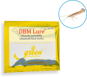 Green Revolution DBM Pheromone Lure with Delta Pheromone Trap Pack of 5 ...