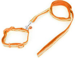 Petsnhuman Radium Leash Collar Set 1/2 Inch Dog & Cat Collar & Leash ...