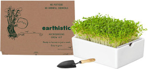earthistic Microgreens Grow Kit - Turnip Seed Price in India - Buy ...