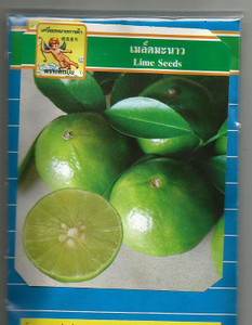 DIOART ™ XII-941 Lime Seeds Lemon Seeds Citrus Thai Tropical Key Lime ...
