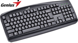 Genius KB-110 PS2 Laptop Keyboard Compatible with Desktop, Laptop, Mac ...