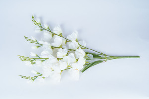 eaglemart elegant flowers stick White Gladiolus Artificial Flower Price ...