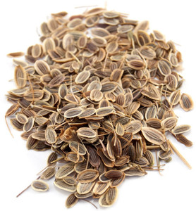 Fresh Dill Seed Price in India - Buy Fresh Dill Seed online at Flipkart.com