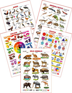 Spectrum Educational Large Wall Charts (Set of 5) : ( Amphibians ...