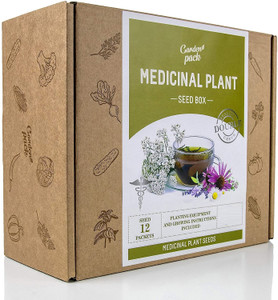 CYBEXIS Medicinal Plant Box Seed Price in India - Buy CYBEXIS Medicinal ...