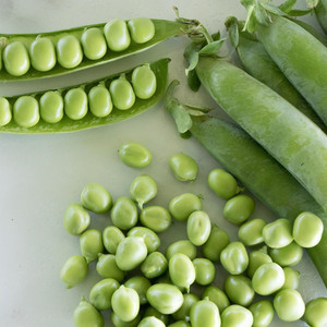 FLARE SEEDS Peas (Matar) Seed Price in India - Buy FLARE SEEDS Peas ...