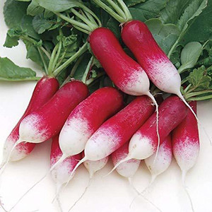 TRICONE Radish Seed Price in India - Buy TRICONE Radish Seed online at ...