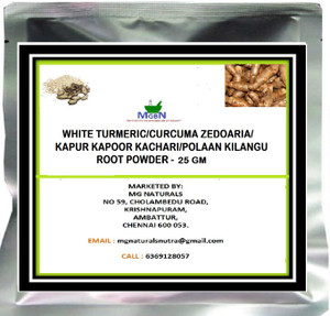MGBN WHITE TURMERIC/KAPUR KAPOOR KACHARI/POLAAN KILANGU ROOT - 25 GM ...