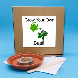 CYBEXIS Basil Herbs Growing Kit Seed Price in India - Buy CYBEXIS Basil ...