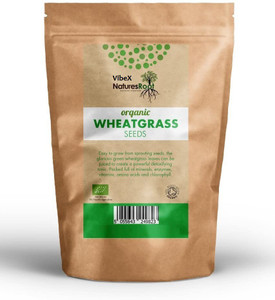 CRGO BLACK WHEATGRASS , KALA GEHUN Seed Price in India - Buy CRGO BLACK ...