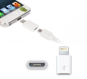 WILDBRAIN White Micro USB to 8 Pin Charger Converters Compatible for ...