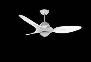 Anemos Clover BN with 1 Year Warranty 54 mm Ceiling Fan Price in India ...