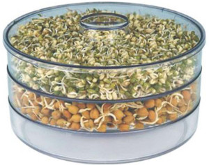 magenta Plastic Sprout Maker - 2000 ml Price in India - Buy magenta ...