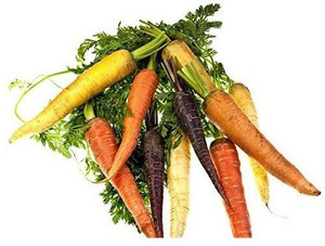 DROXTY GAJAR Seed Price in India - Buy DROXTY GAJAR Seed online at ...