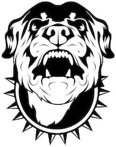 KICKWIX Sticker & Decal for Car & Bike Price in India - Buy KICKWIX ...