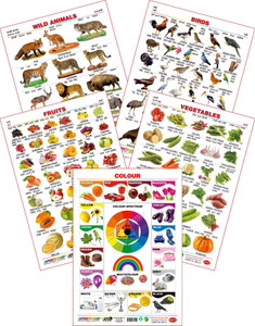 Spectrum Set of 5 Educational Large Wall Charts : ( Wild Animals ...
